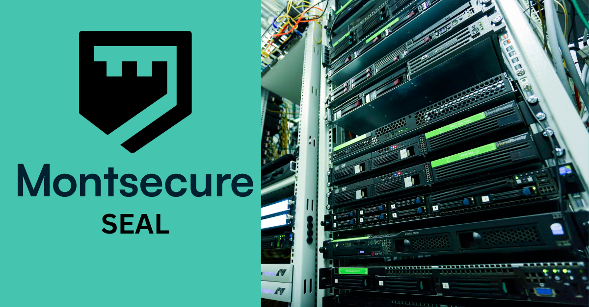 SEAL - Certification Grade - Security Testing Made Accessible | Montsecure